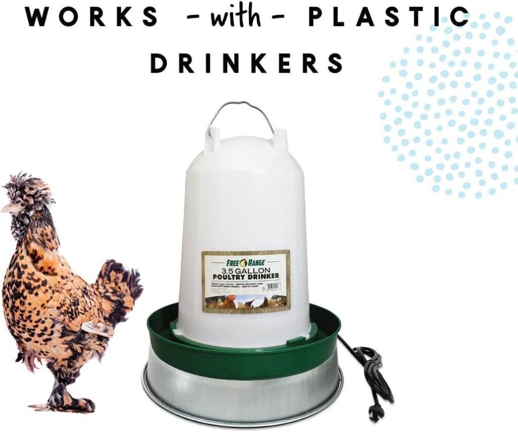 5 Best Heated Chicken Waters – Chickens On The Farm